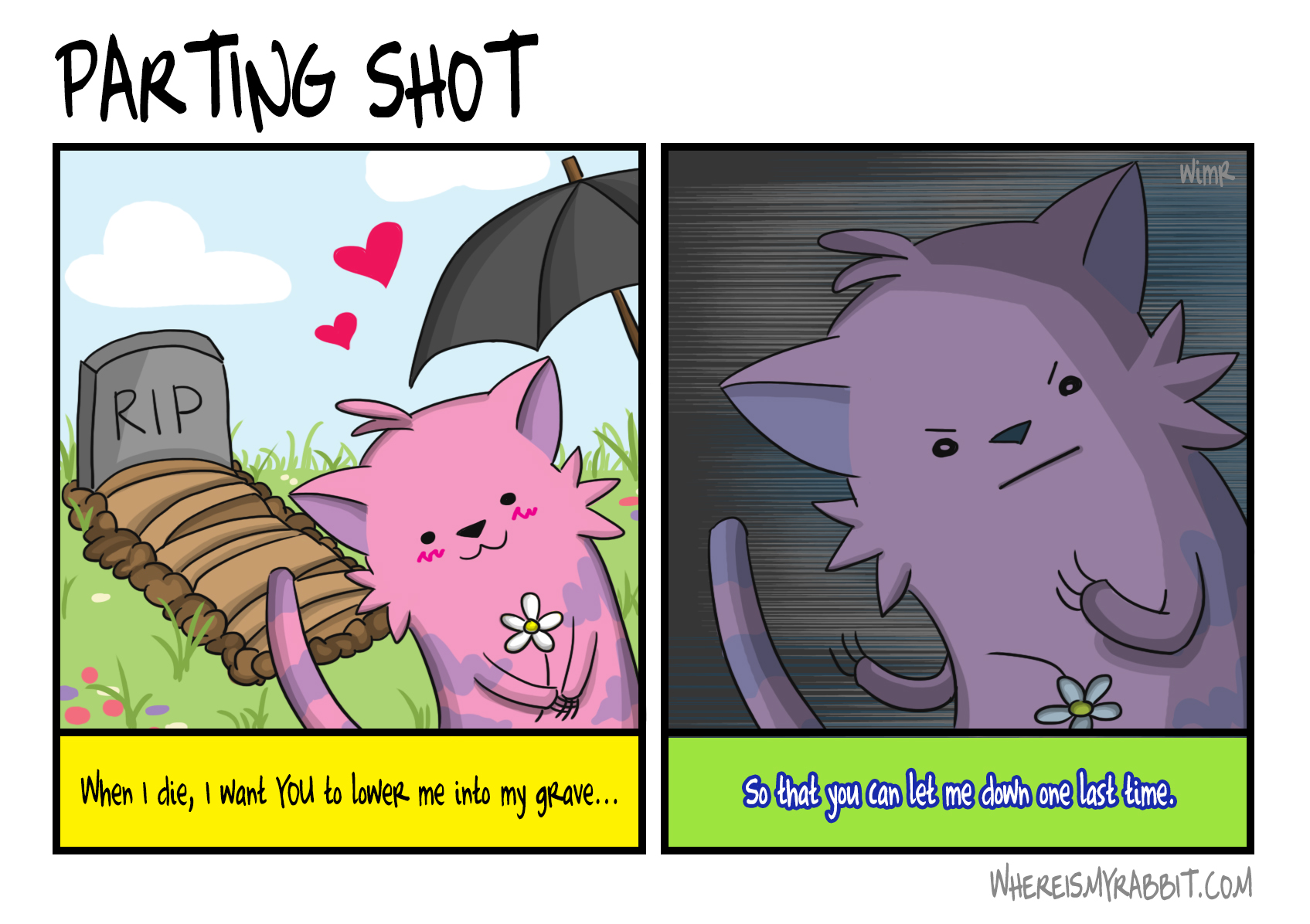 Parting Shot | Where Is My Rabbit?